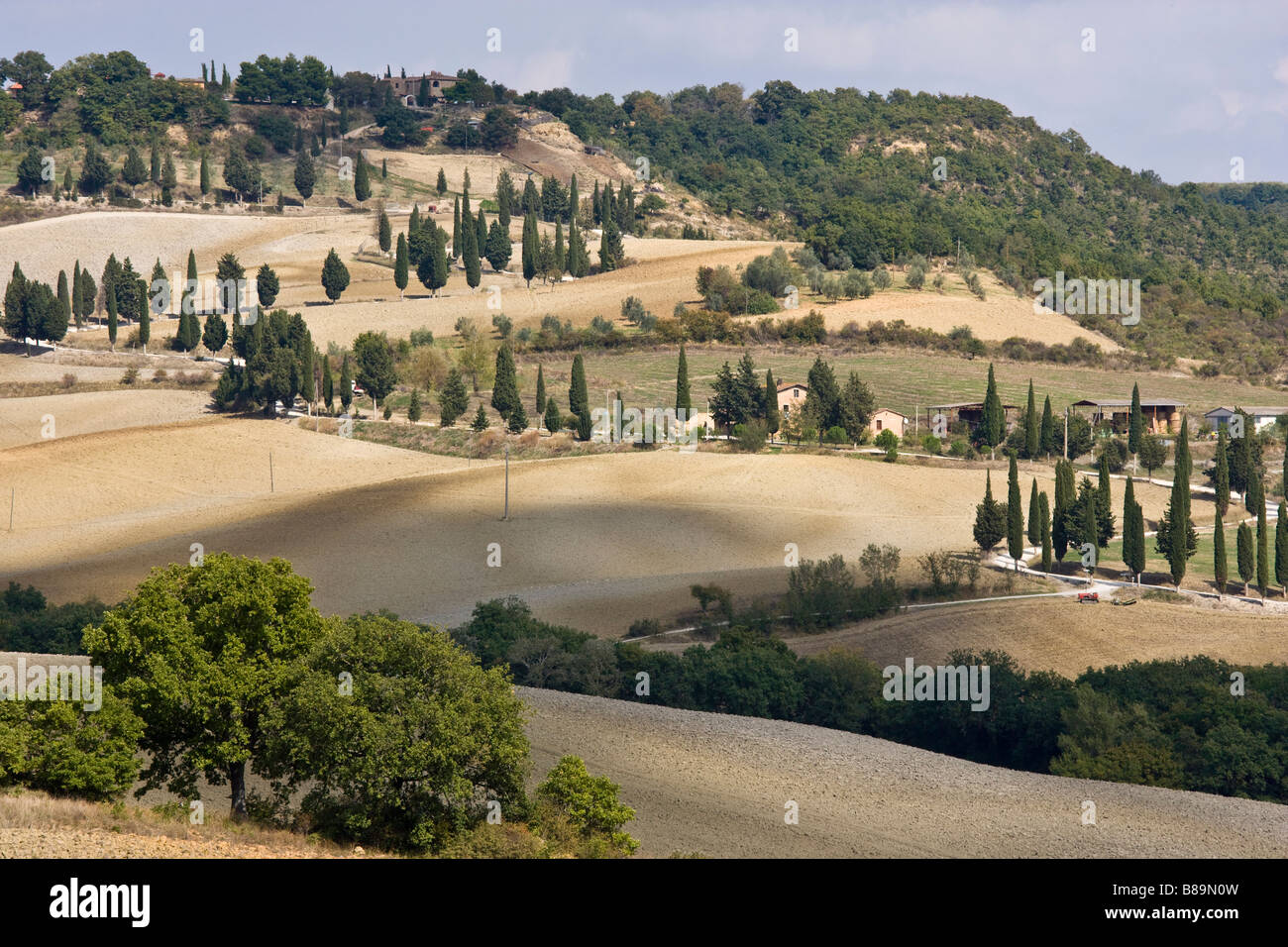 typical tuscan landscape Stock Photo - Alamy