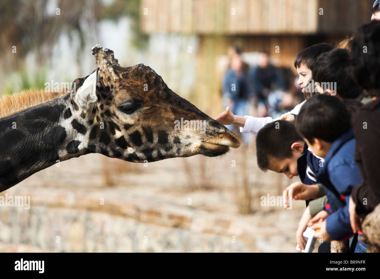 Kids at the zoo hi-res stock photography and images - Alamy