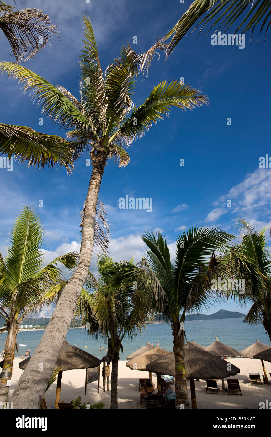 Palm trees on beach Sanya City Hainan Province China Stock Photo - Alamy