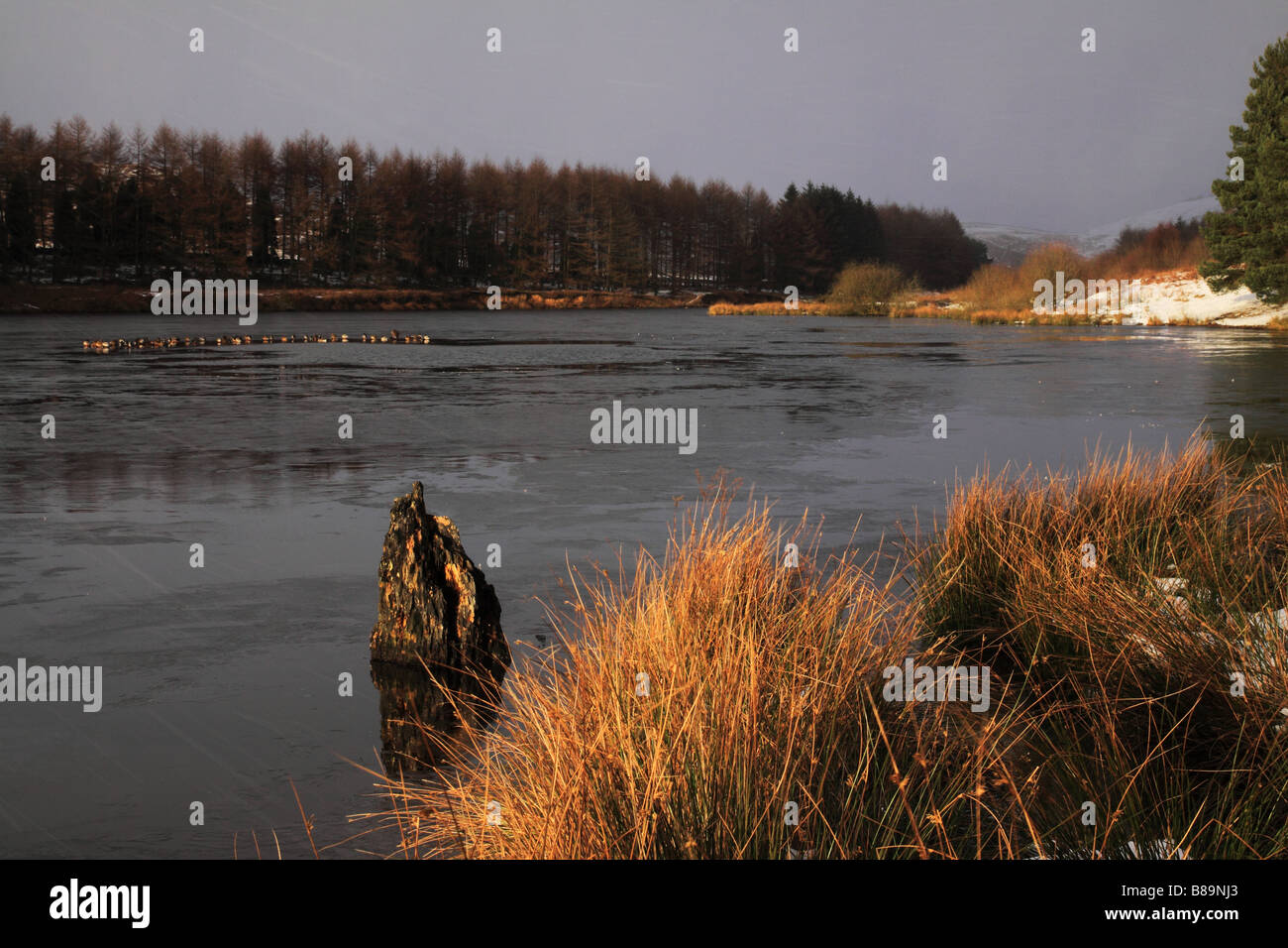 Cod Beck Reservoir, North York Moors High Resolution Stock Photography ...