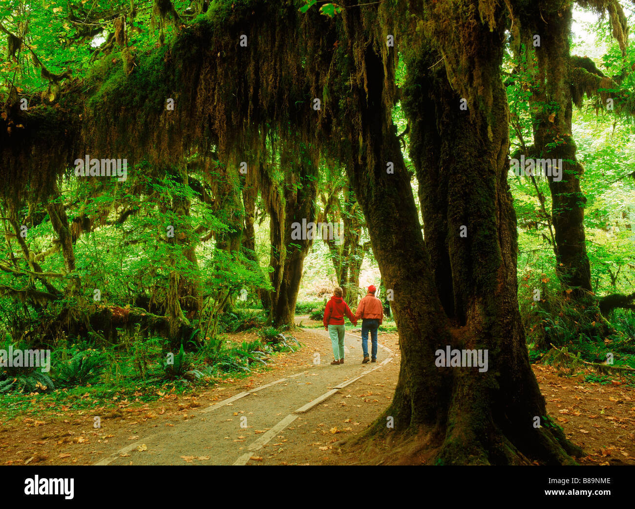 Couple on pathway in The Hall of Mosses at Hoh River Valley in Olympic ...