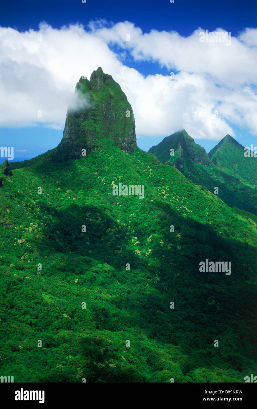 Aerial view of opunohu bay hi-res stock photography and images - Alamy