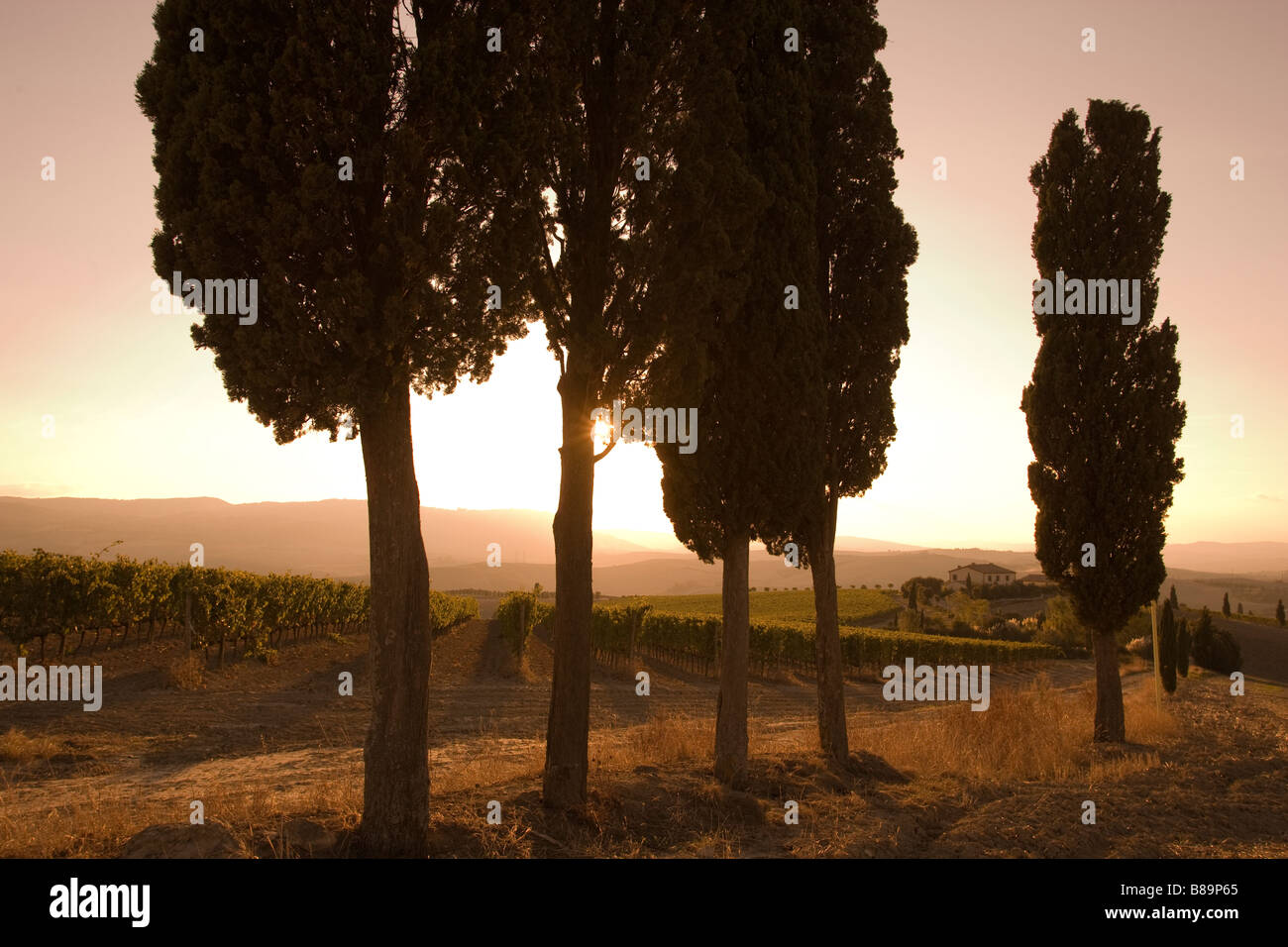 Tuscan sunset hi-res stock photography and images - Alamy