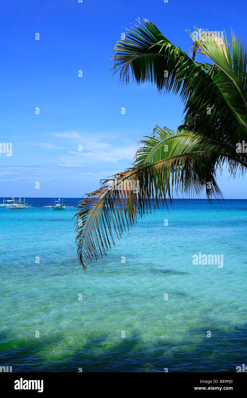Scene of palm tree in Boracay island Stock Photo - Alamy