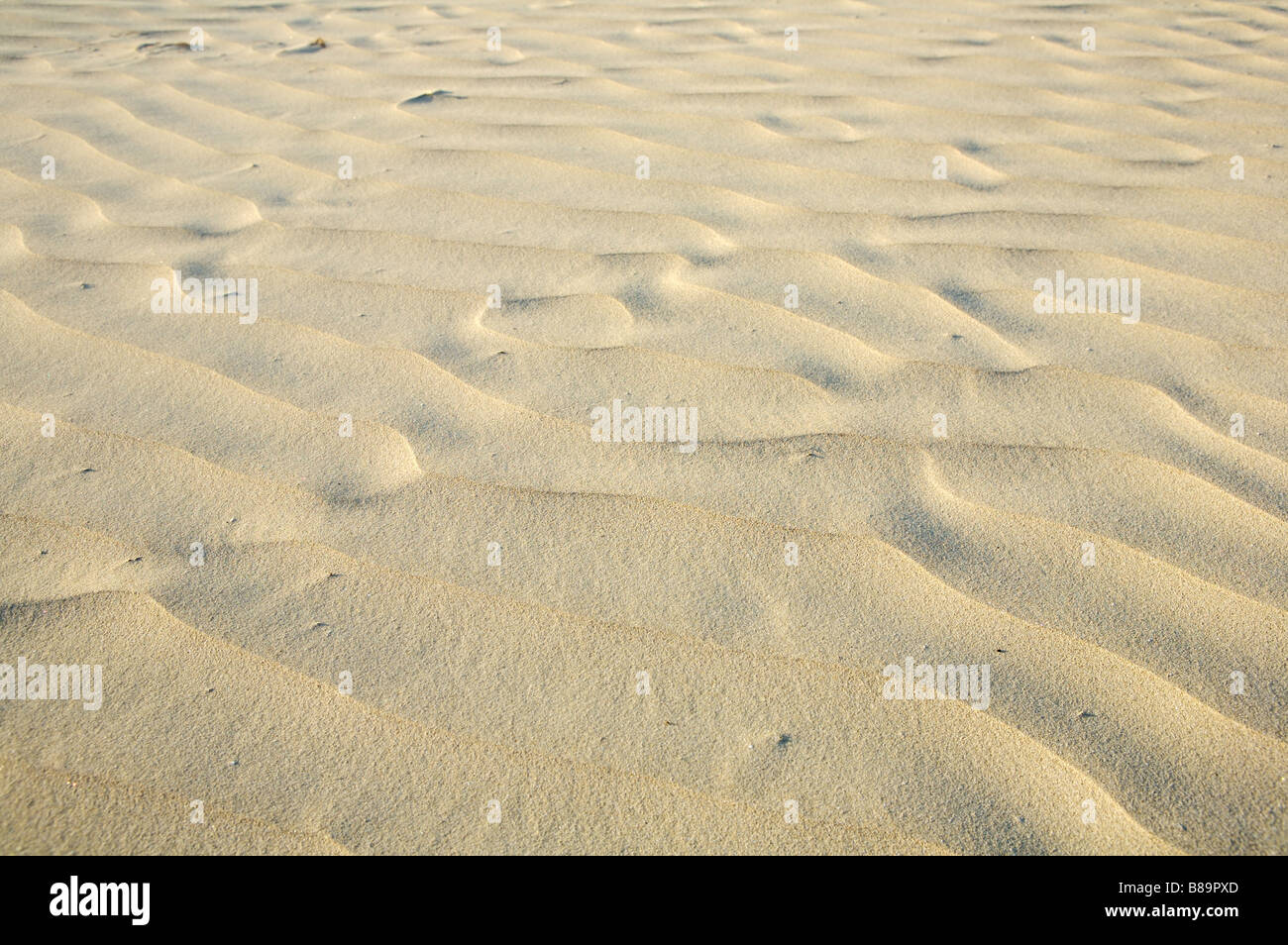 a photo of sand in the beach Stock Photo - Alamy