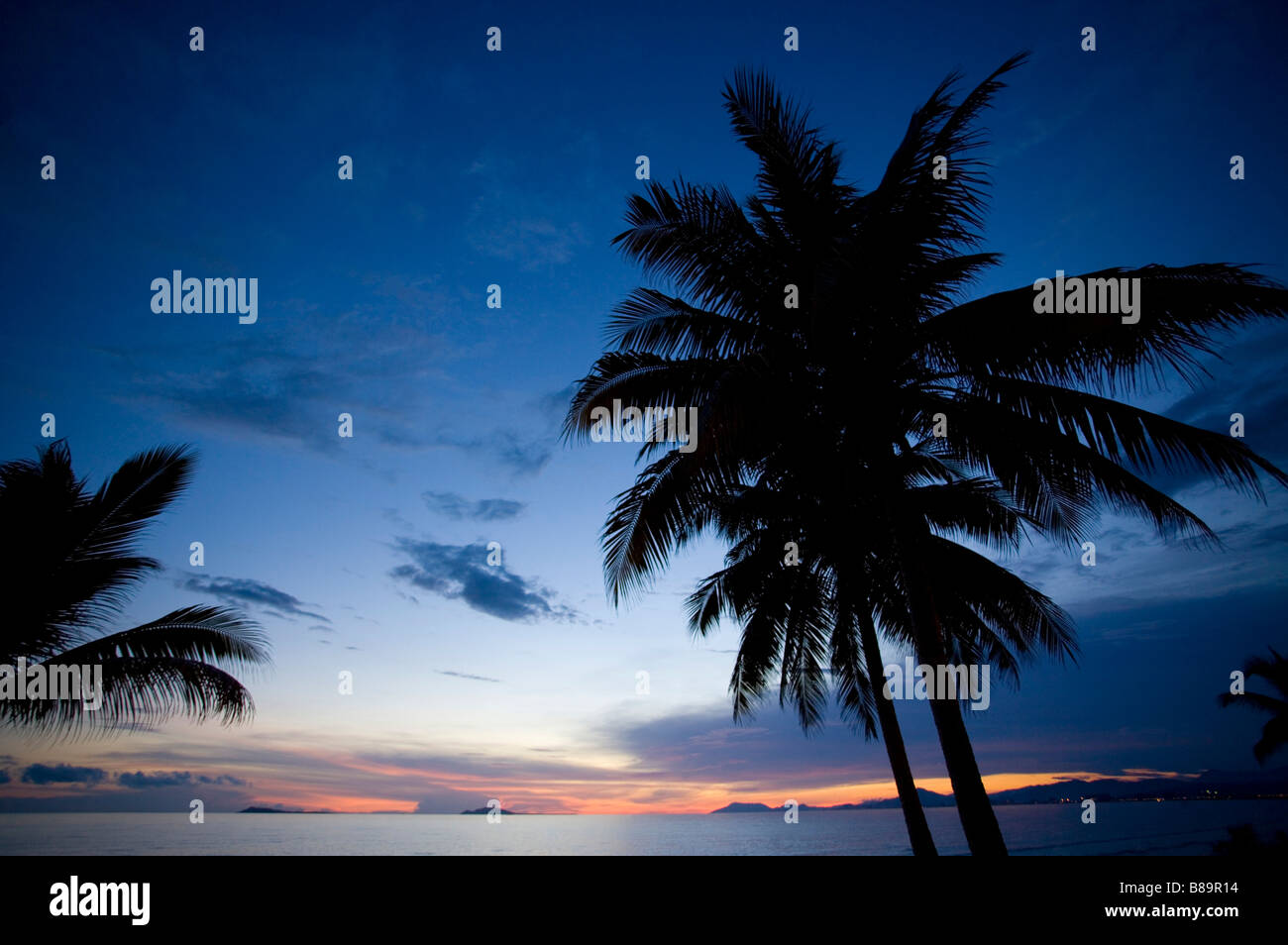 Scene of palm tree Sanya City Hainan Province China Stock Photo - Alamy