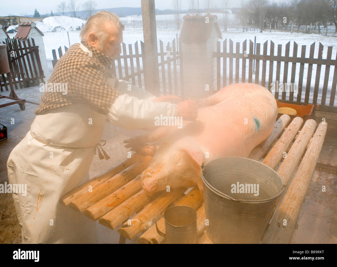 traditional pig sticking Czech Republic Stock Photo - Alamy