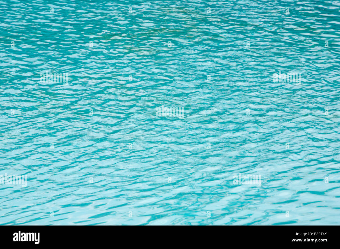 Refreshing water of swimming pool in summer Stock Photo - Alamy