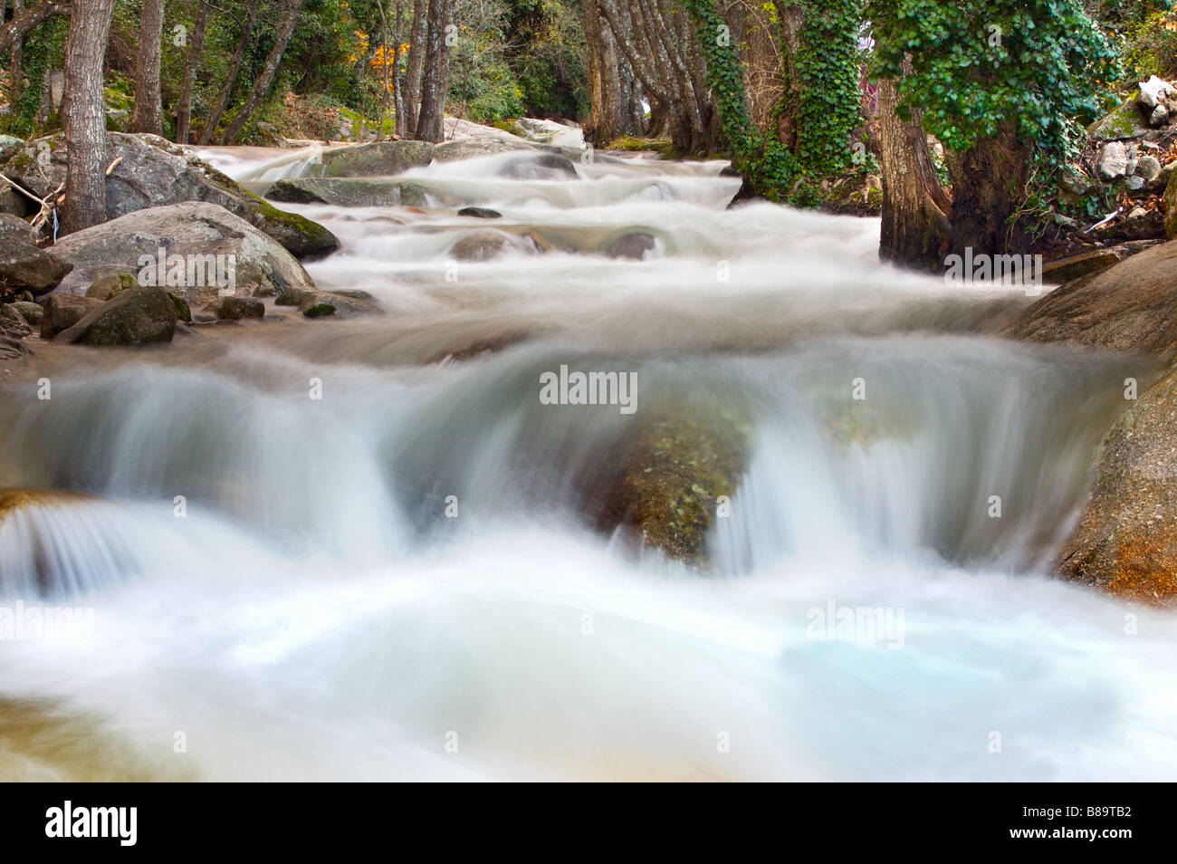 a photo of a water torrent in the forest Stock Photo - Alamy