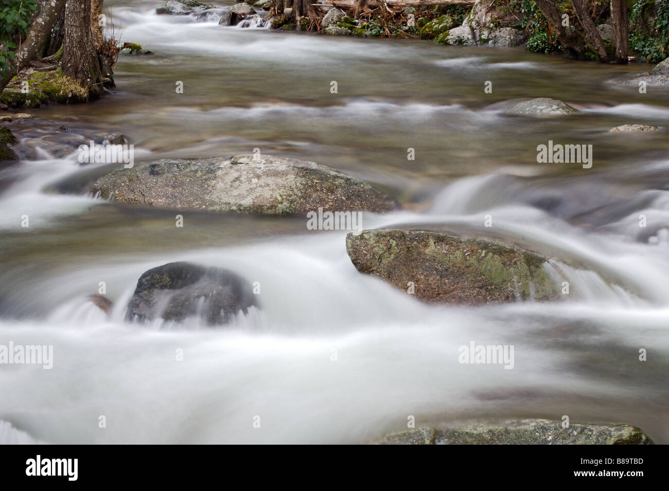 a photo of a water torrent in the forest Stock Photo - Alamy
