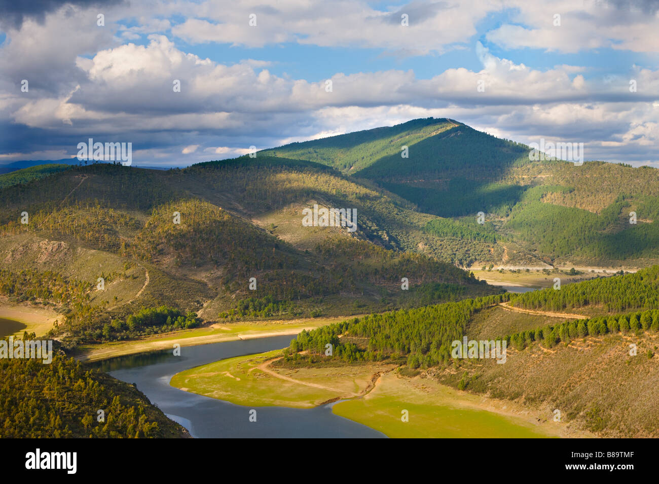 Beautiful landscape river and mountains with trees Stock Photo - Alamy