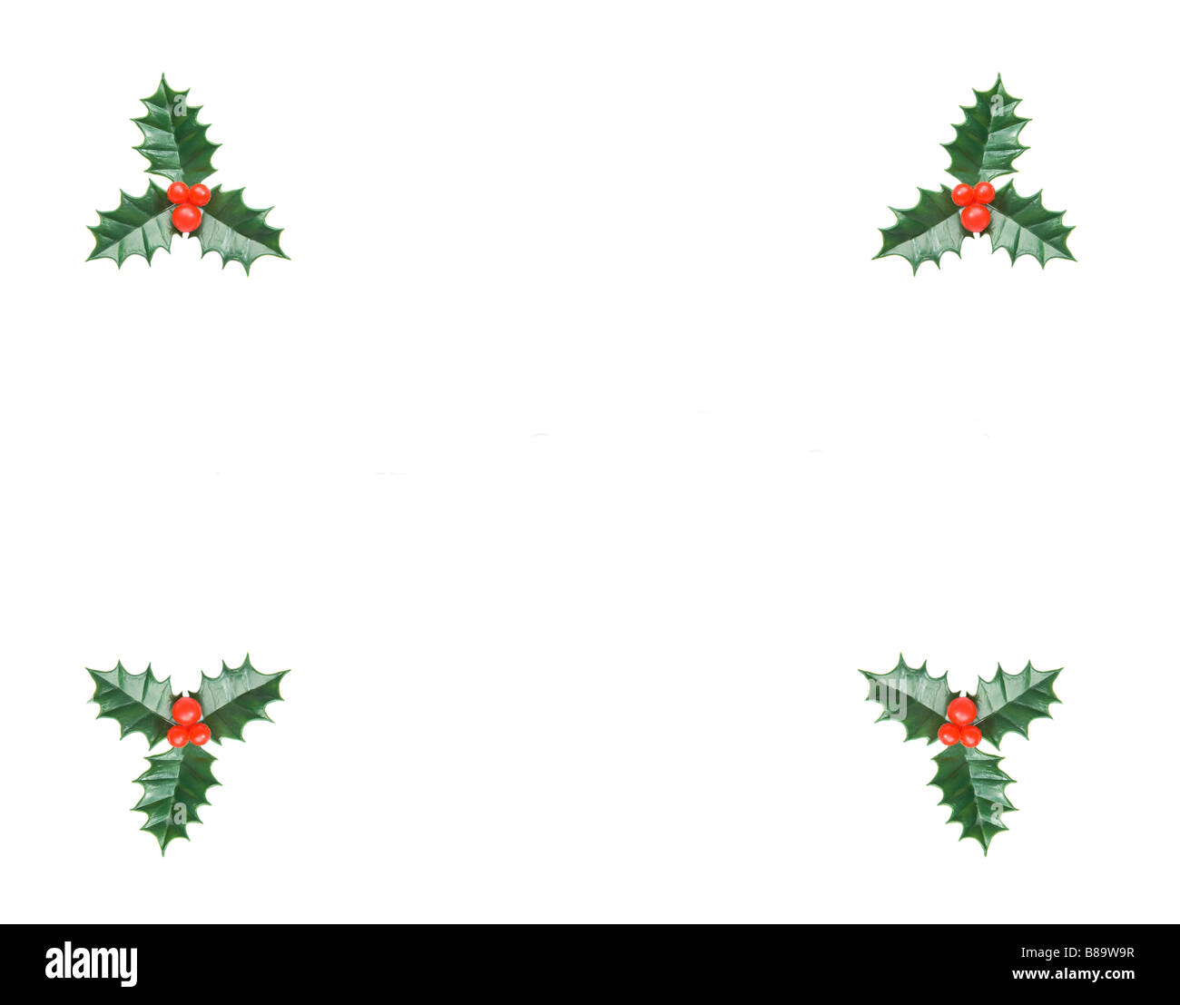 Frame of holly on a over white background Stock Photo - Alamy