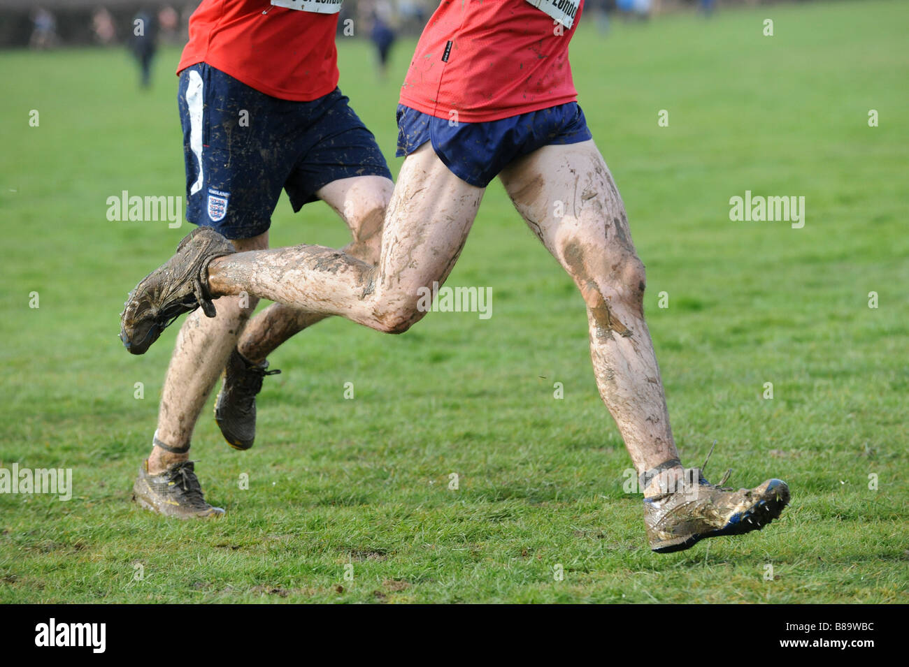 cross country runners Stock Photo - Alamy