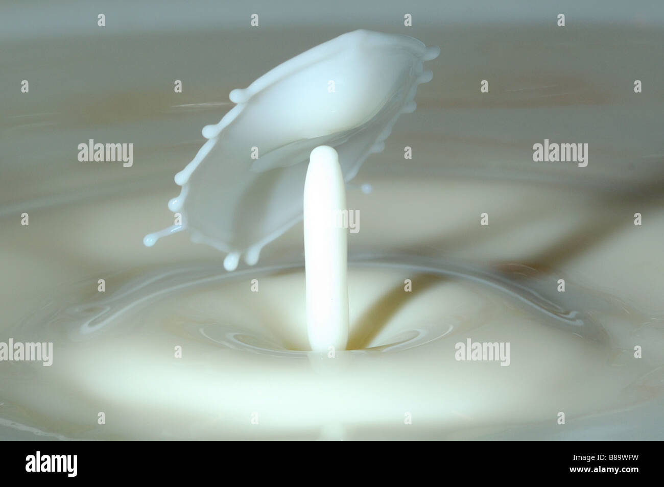 Splash in a milk glass Milk Drop on a bowl Stock Photo - Alamy