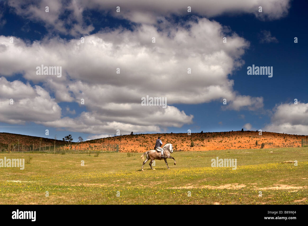 Riding a horse in a meadow with beautiful sky full of clouds Stock ...