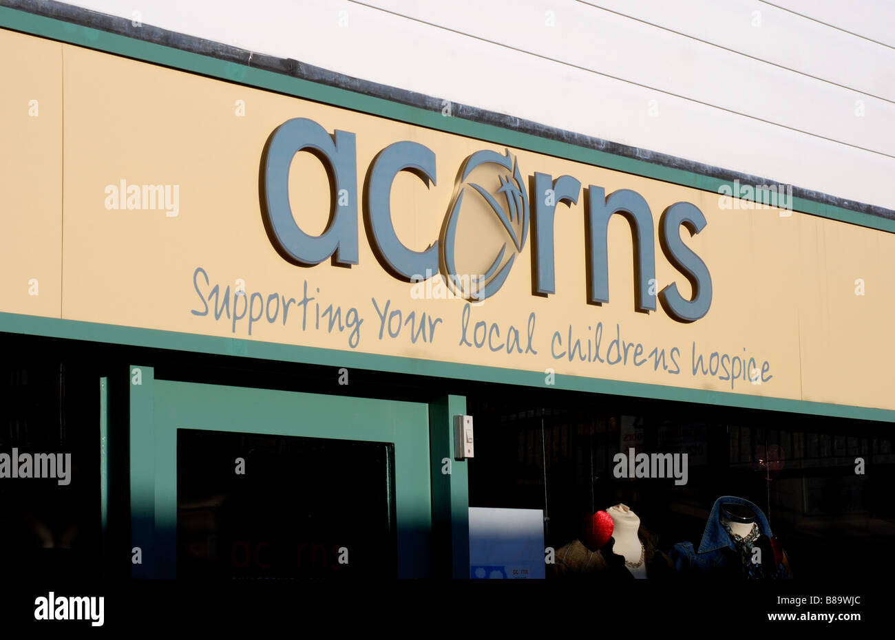 Acorns charity shop, UK Stock Photo - Alamy