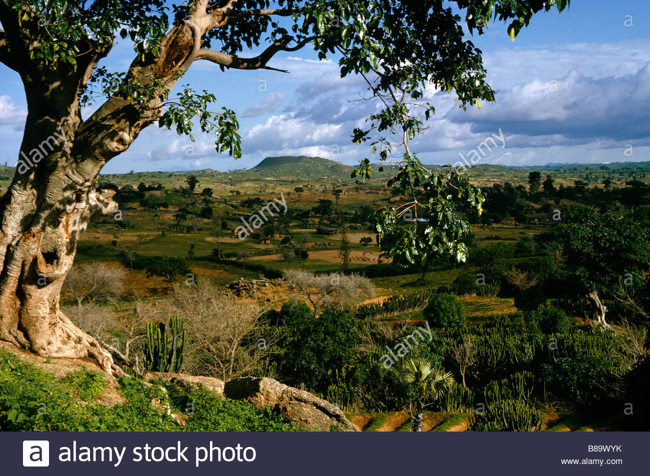 Nigeria Landscape of Jos Plateau Stock Photo: 22345559 - Alamy
