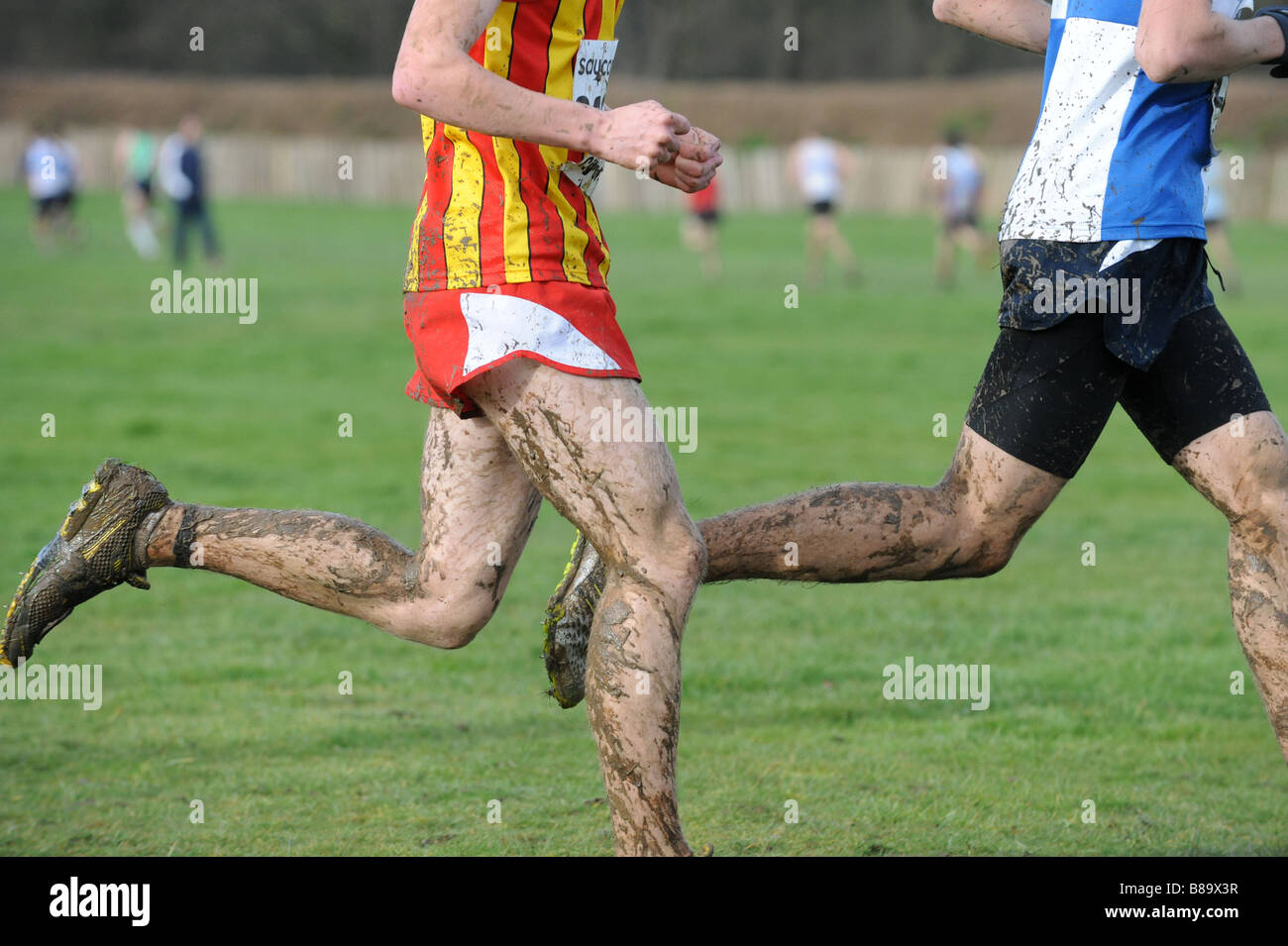 cross country runners Stock Photo - Alamy