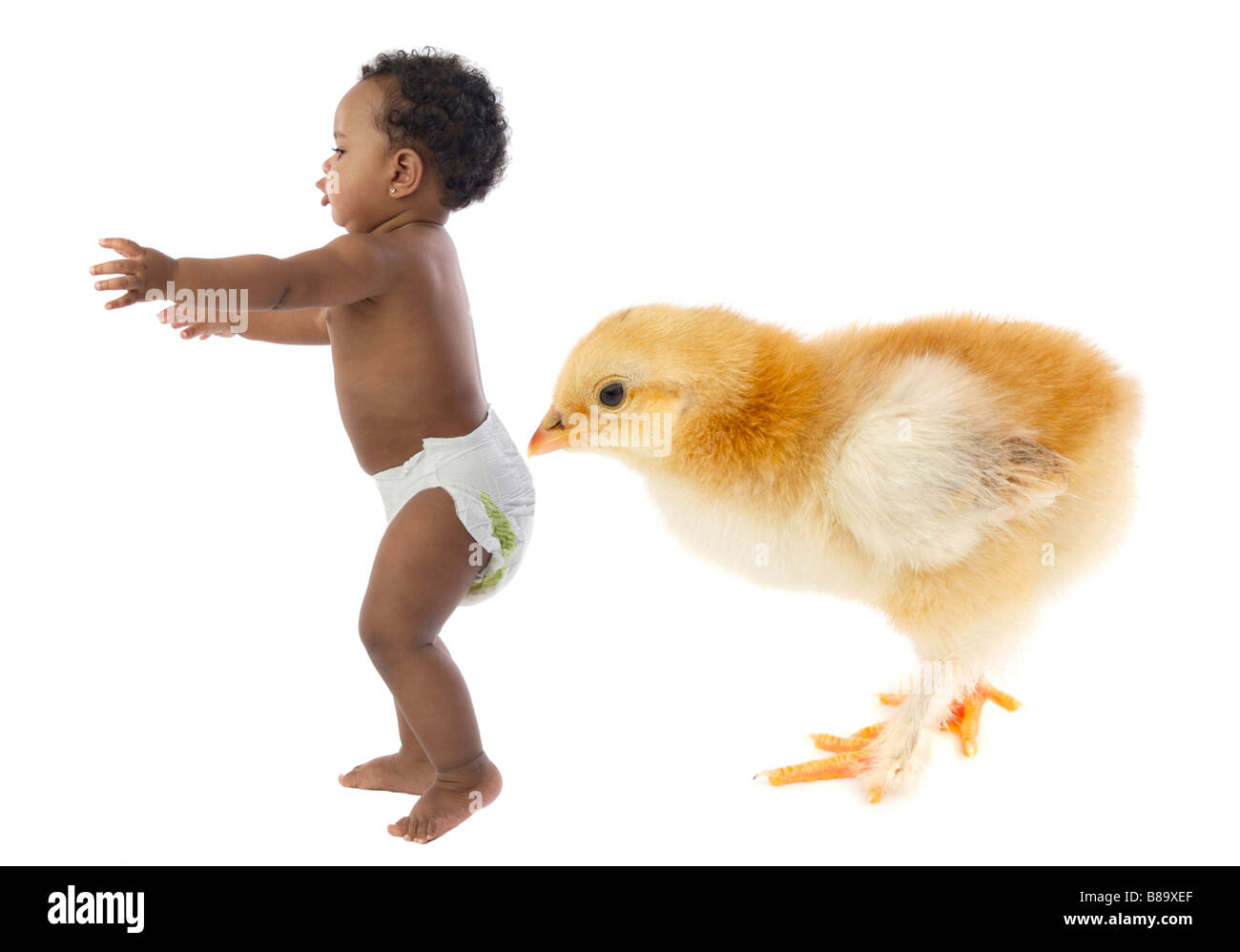Beautiful african baby running scared by a huge chicken Stock Photo - Alamy