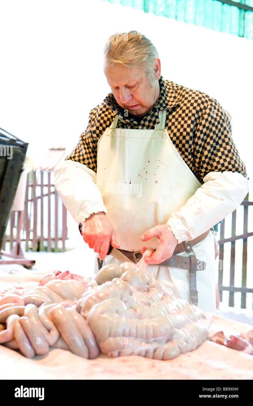traditional pig sticking Czech Republic Stock Photo - Alamy
