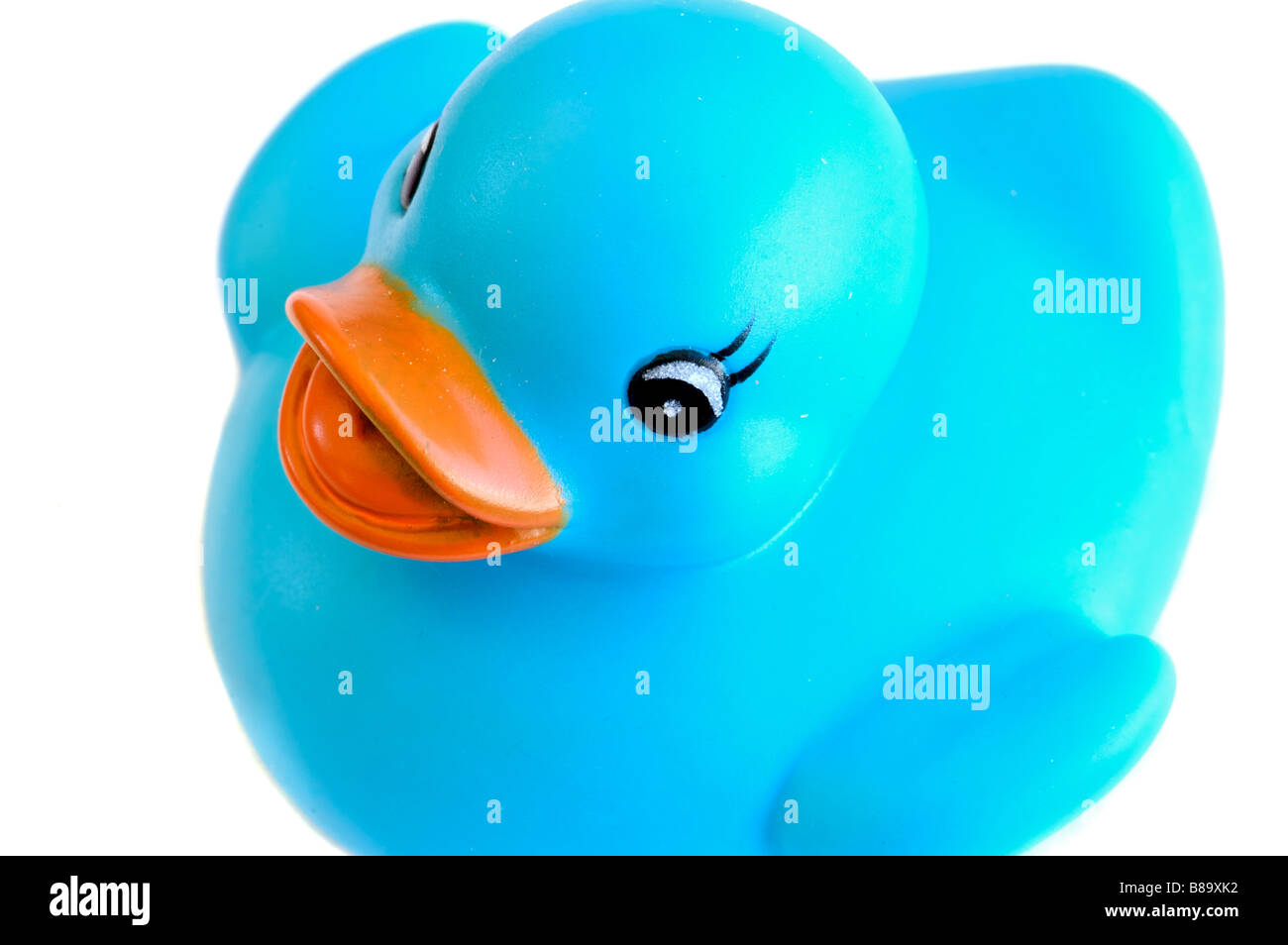 Blue plastic duck a over white background Stock Photo - Alamy
