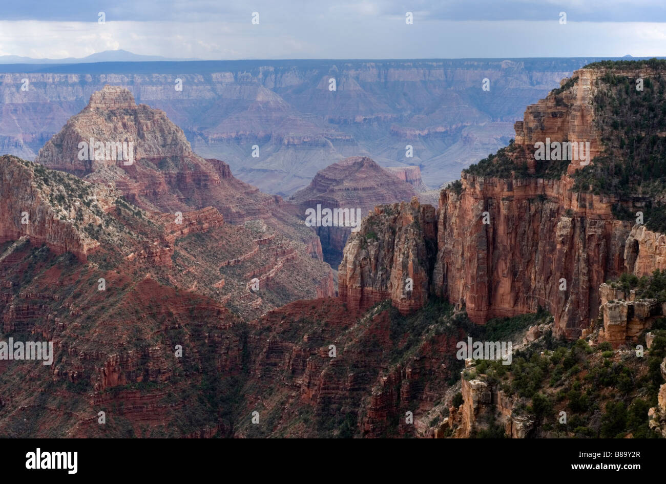 View from road to Cape Royal Summer North Rim Grand Canyon National ...