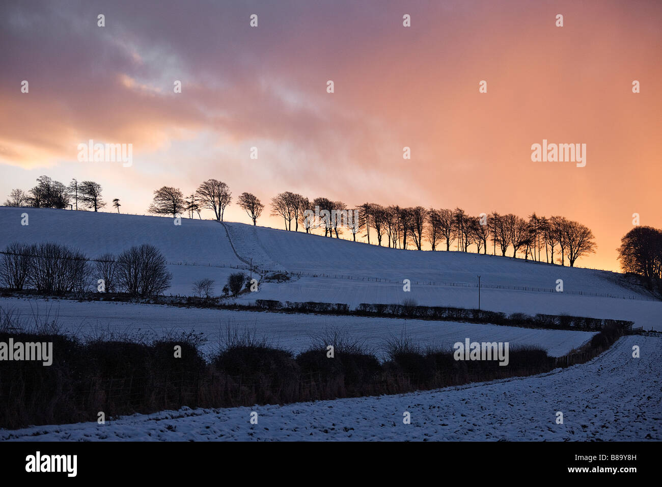 The borders winter scene in the scottish borders tourism hi-res stock ...