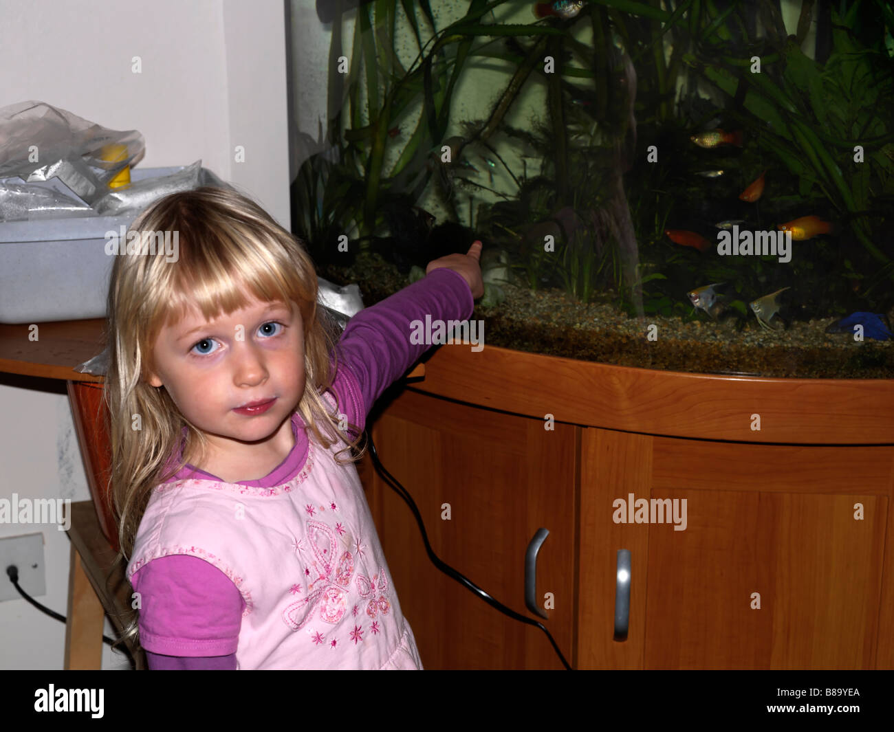 Child with Tropical Fish Tank In Living Room Stock Photo - Alamy