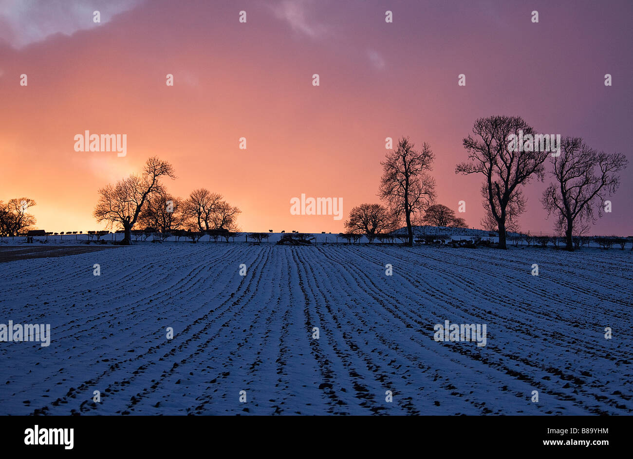 The borders winter scene in the scottish borders tourism hi-res stock ...
