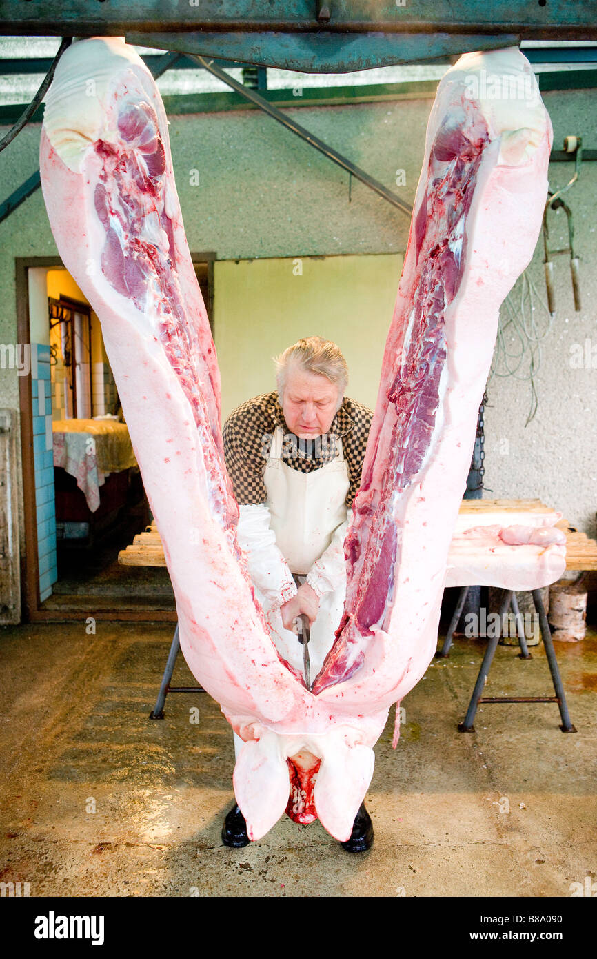 traditional pig sticking Czech Republic Stock Photo - Alamy
