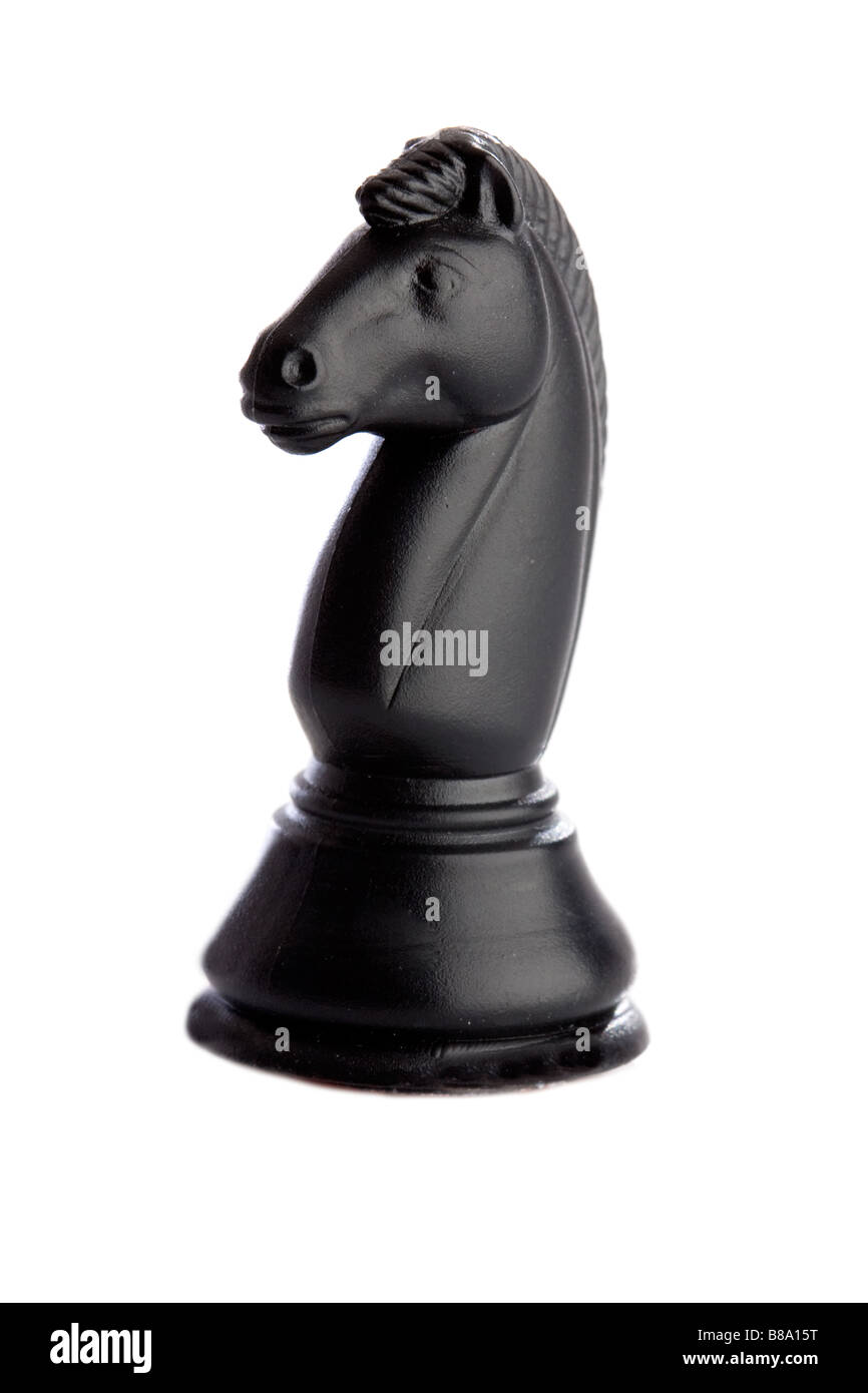 The knight Black chess piece on white with reflection Stock Photo - Alamy