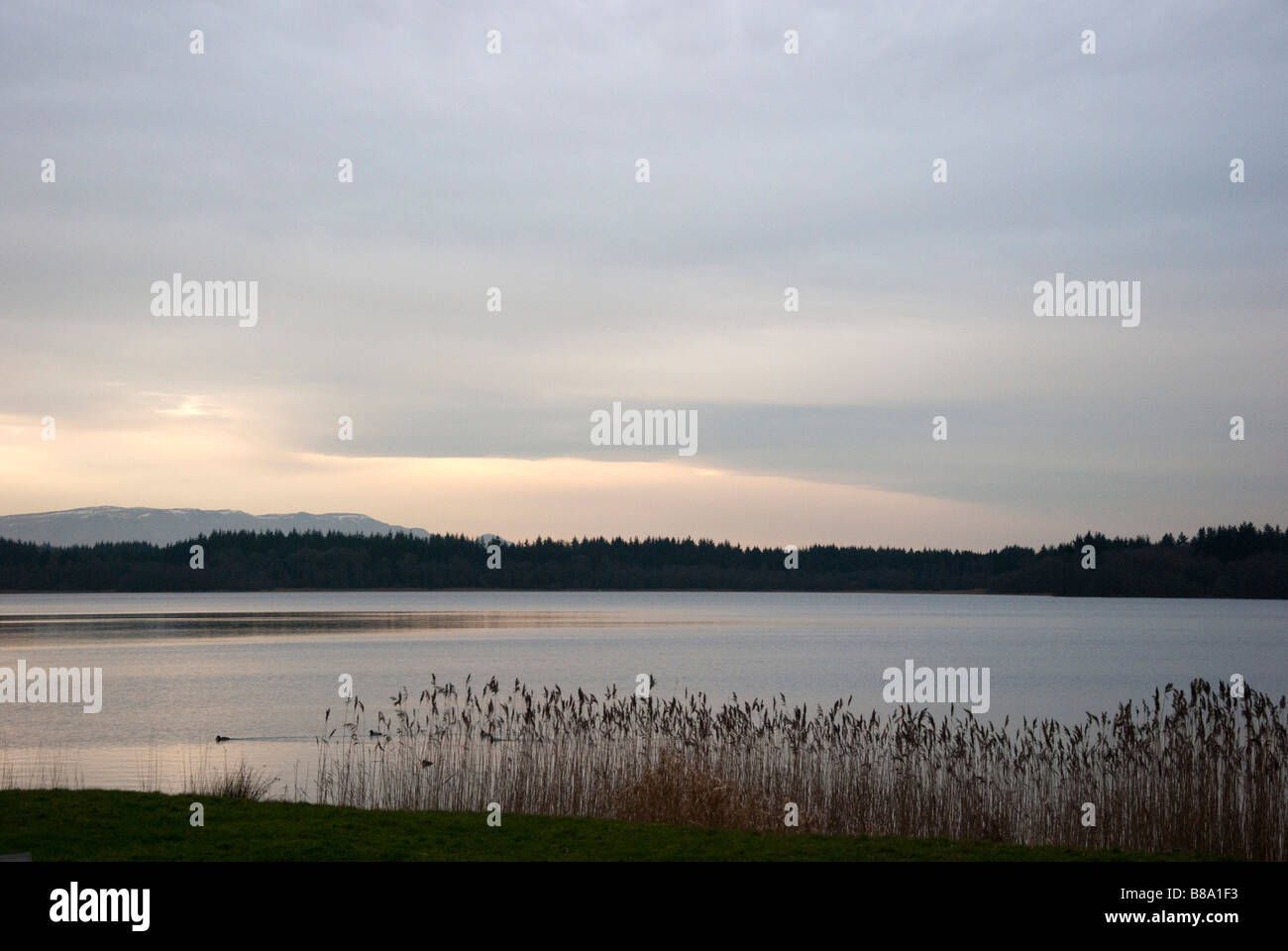 Menteith hills hi-res stock photography and images - Alamy