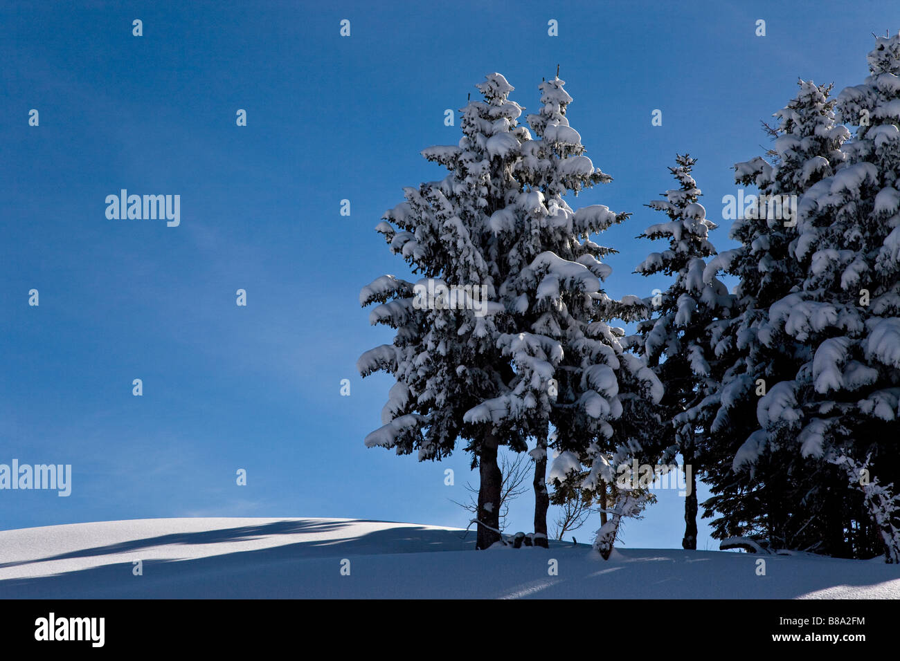 Blue ski slope hi-res stock photography and images - Alamy