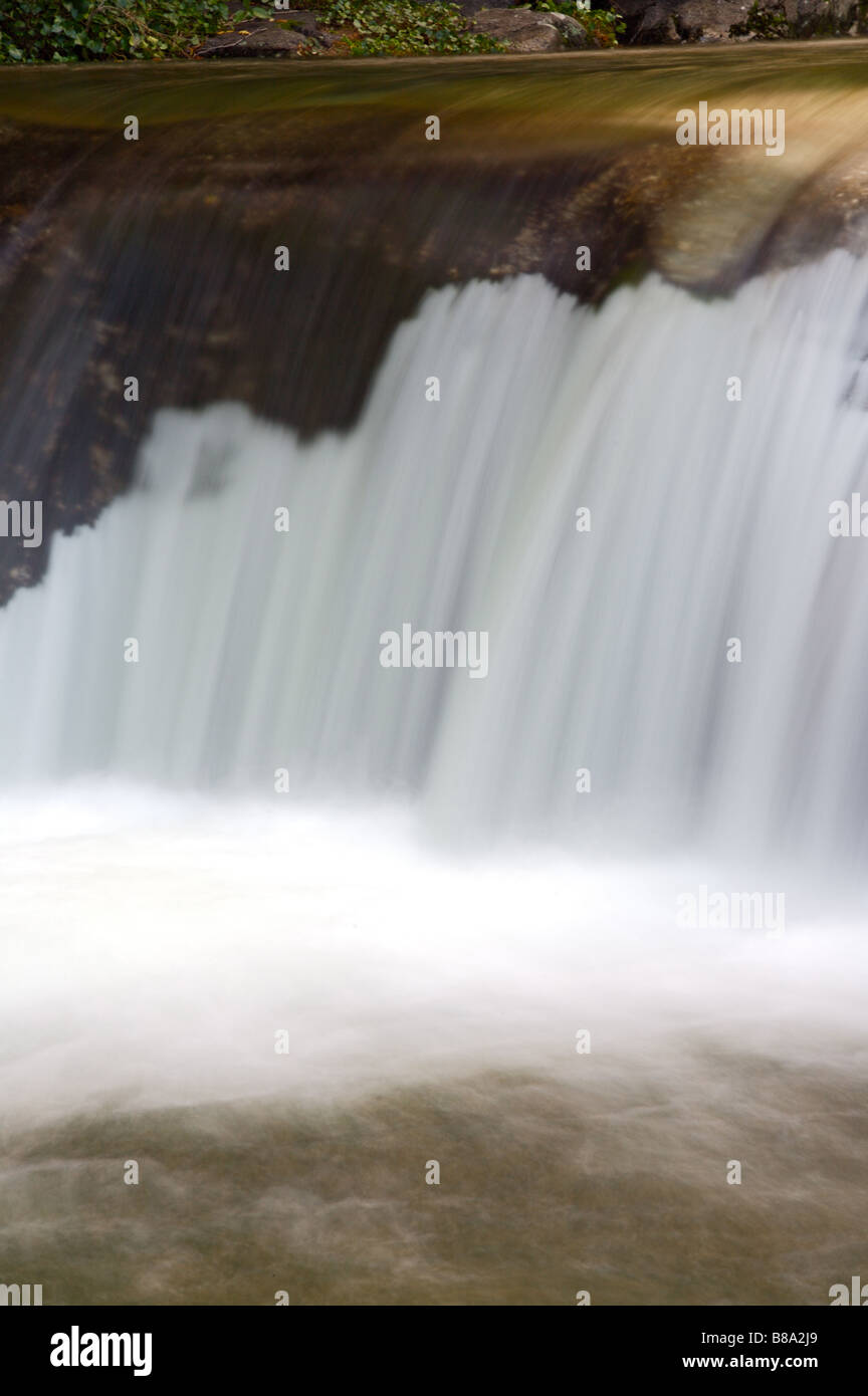 a photo of a water torrent in the forest Stock Photo - Alamy