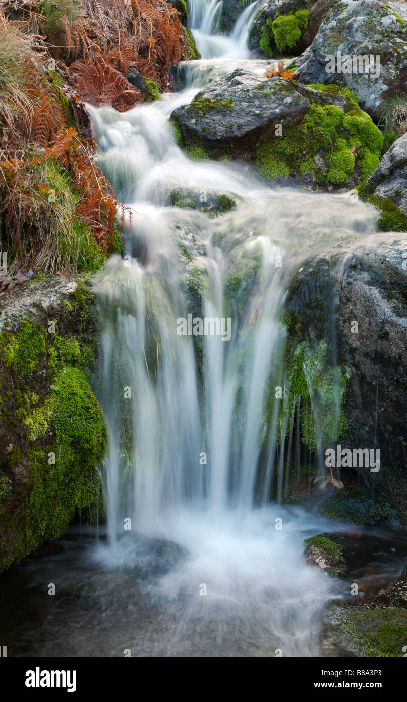 a photo of a water torrent in the forest Stock Photo - Alamy