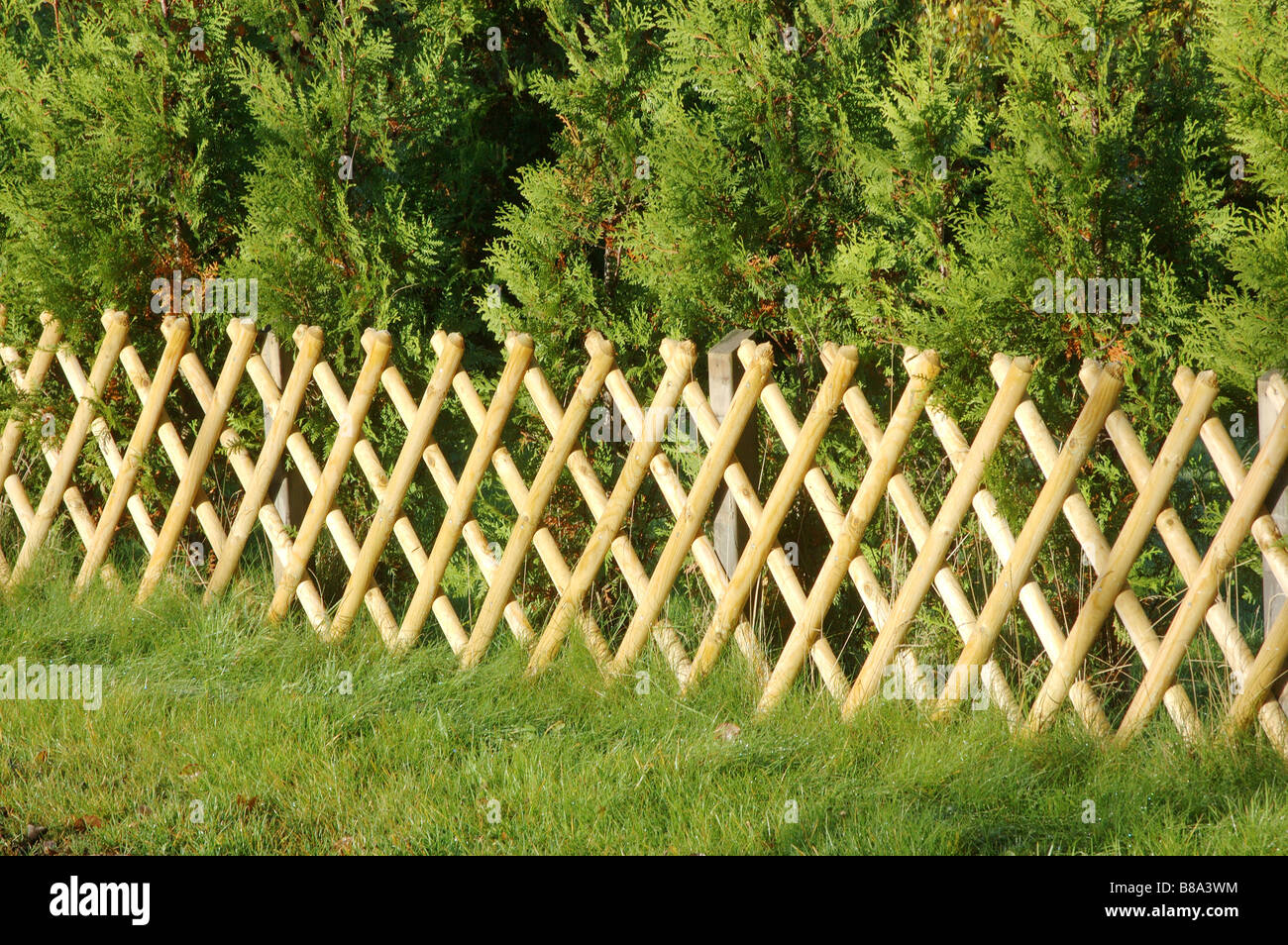 Compound wall of bamboo,Grime and yellow combination,Gothenburg,Sweden ...