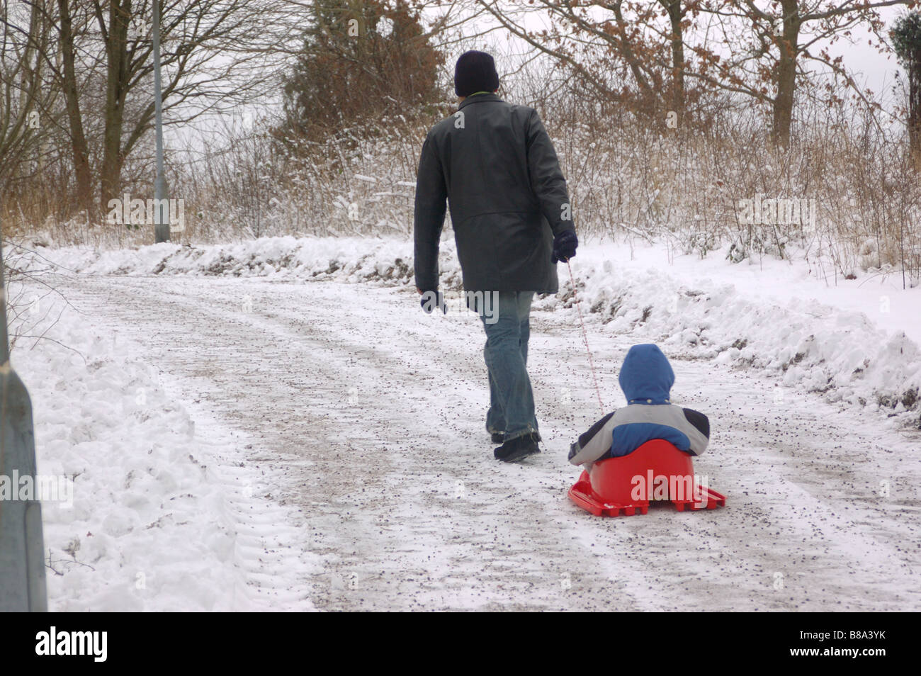 Son sitting on red colored Pulka and father pulling it,winter in ...