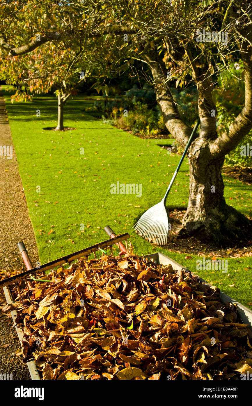 Wheelbarrow of leaves and rake in the Oxford Botanical Gardens, England ...