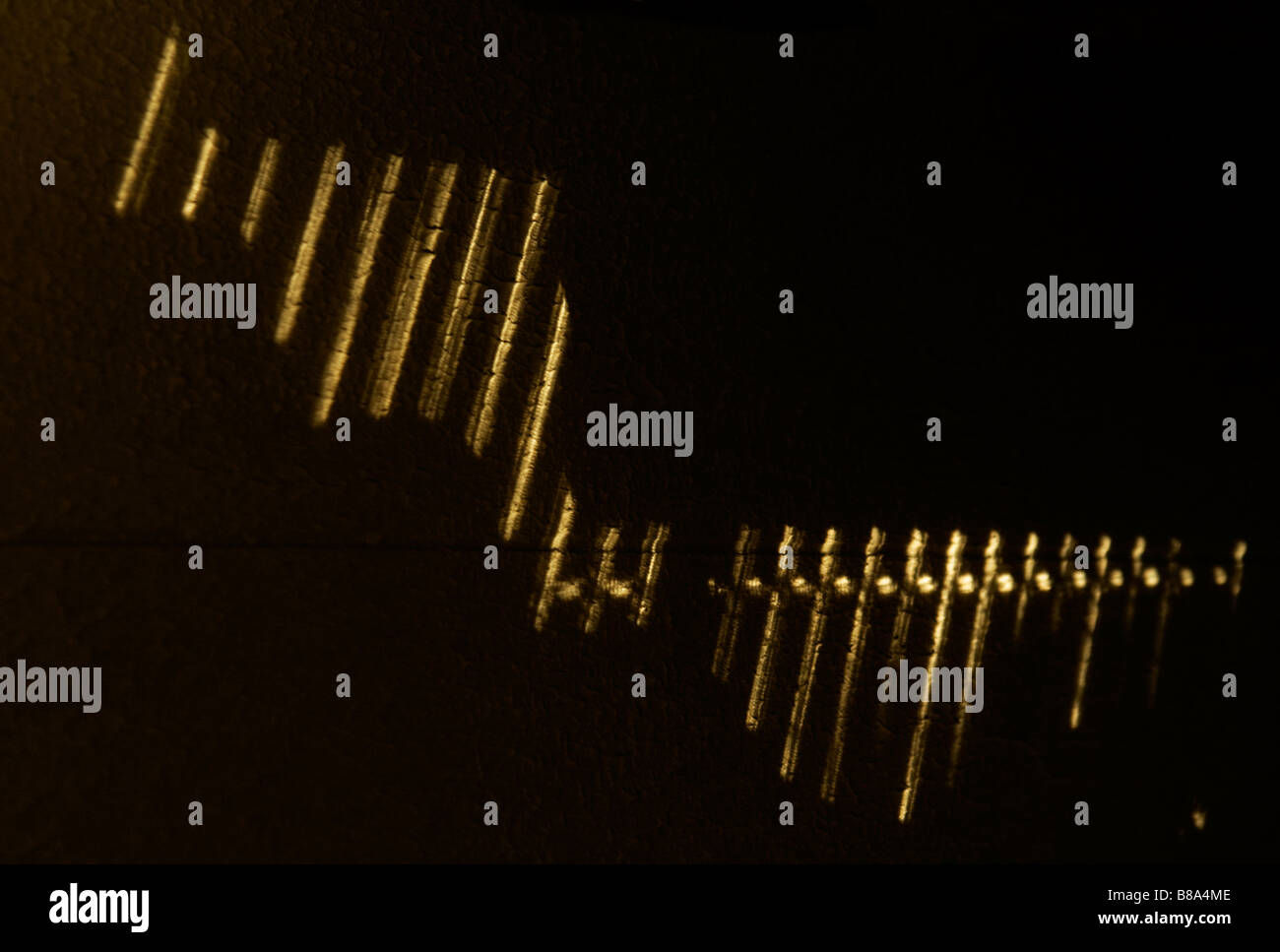 Golden shadows cast in the golden hour Stock Photo - Alamy