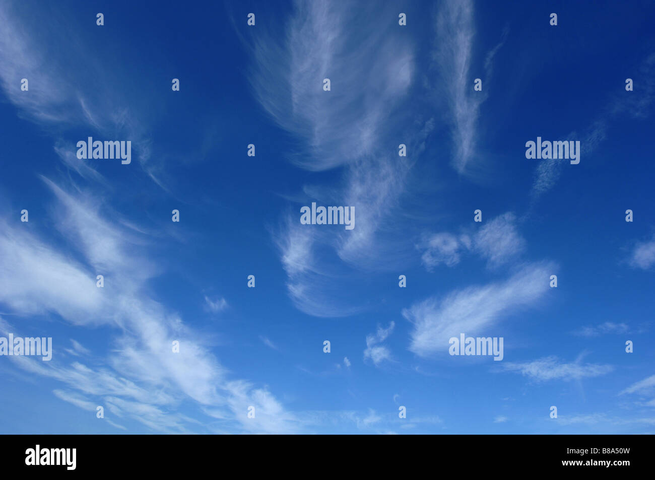 Sirus hi-res stock photography and images - Alamy