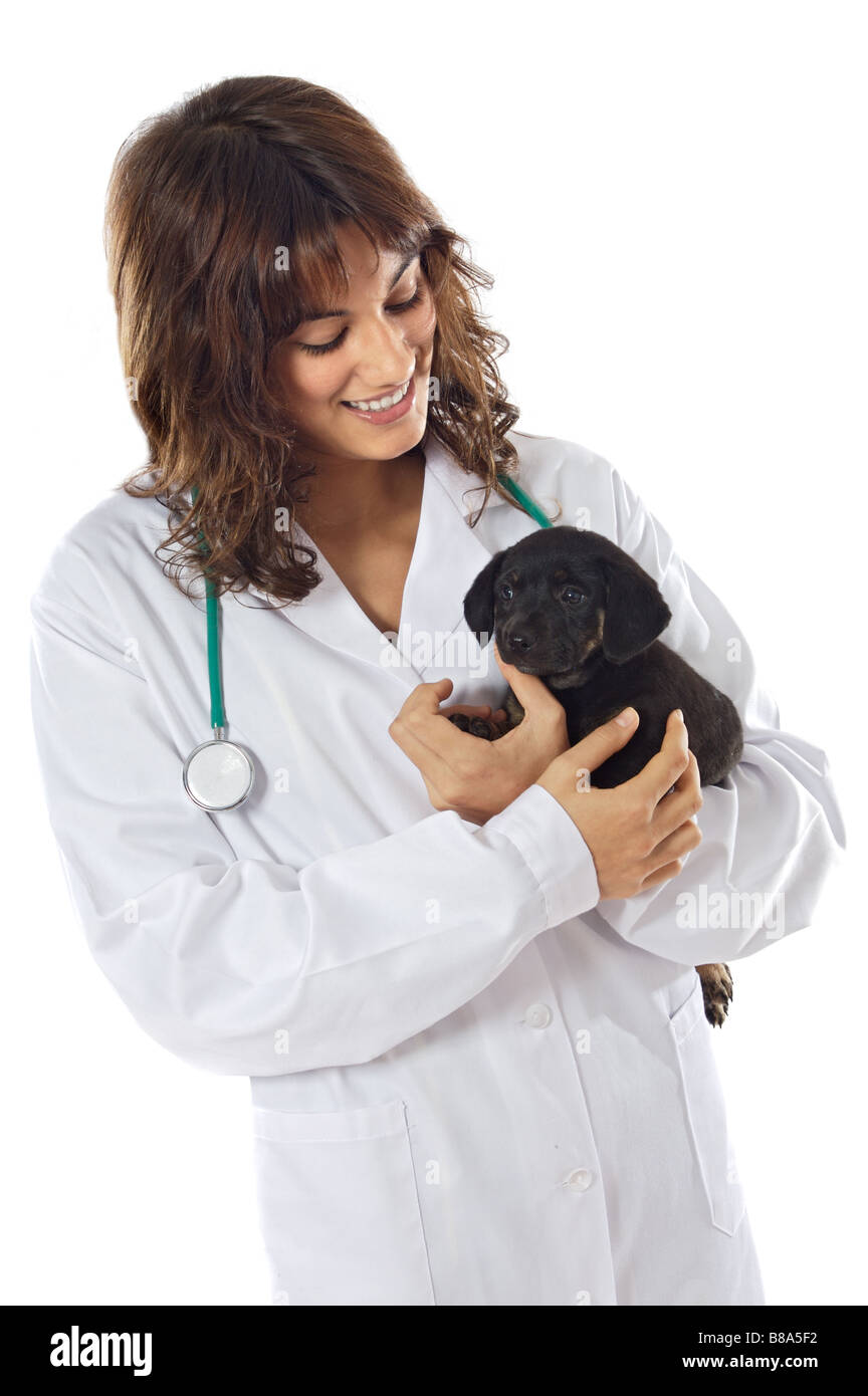 Attractive lady veterinarian over a white background Stock Photo - Alamy