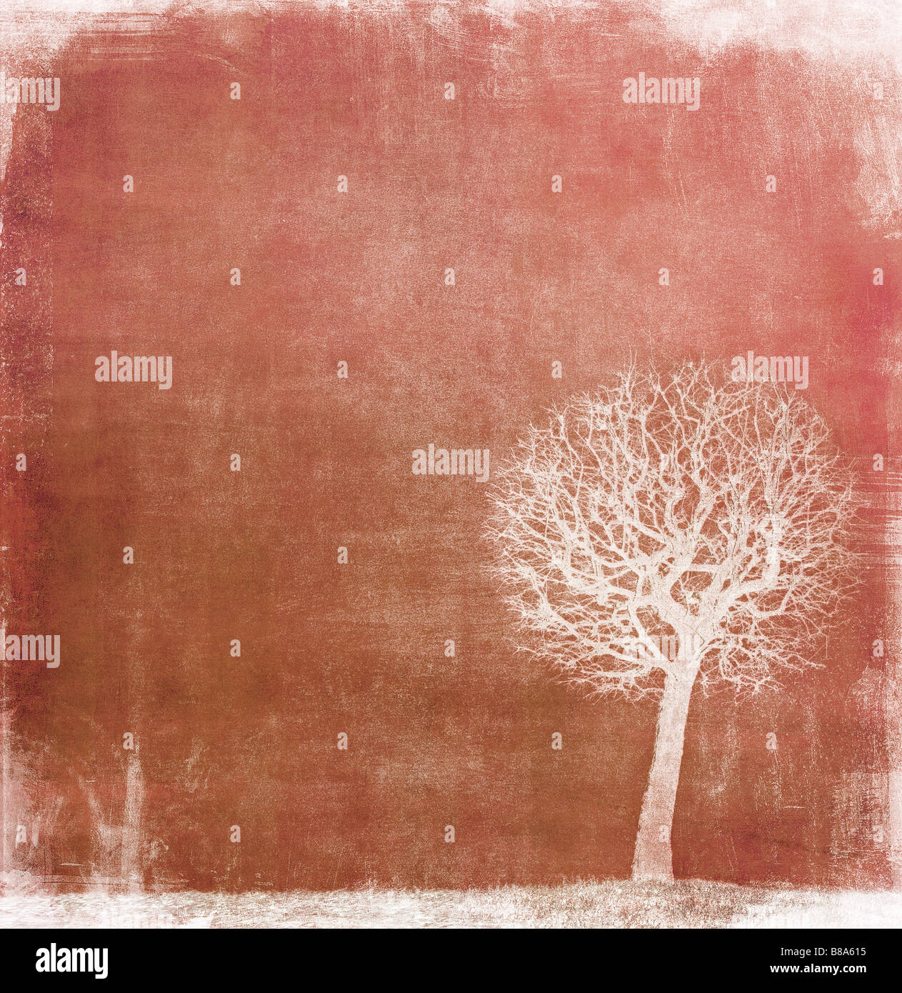 grunge image of a tree on a vintage paper Stock Photo - Alamy