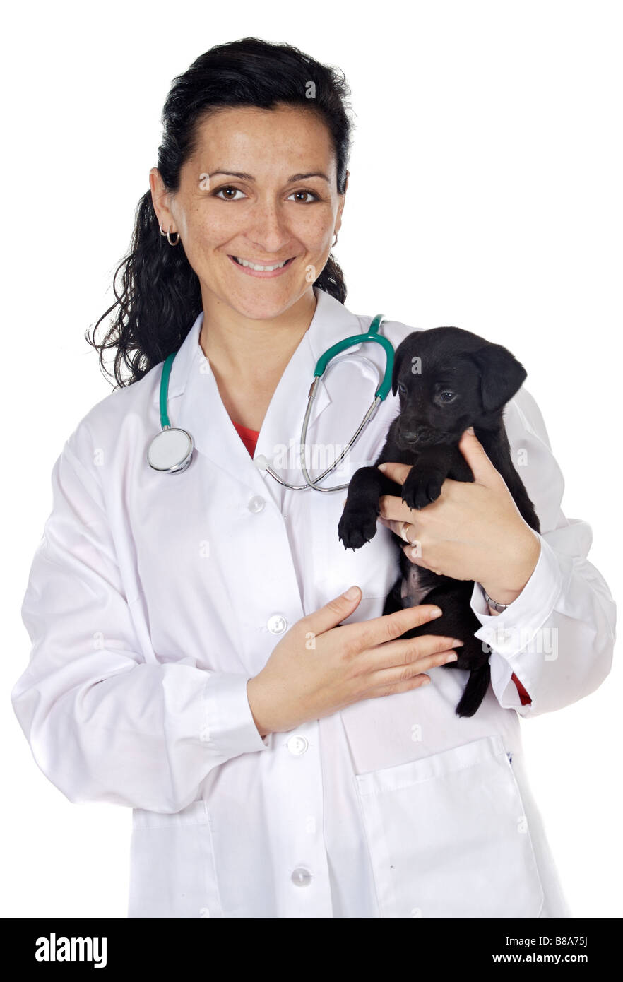 Attractive lady veterinarian over a white background Stock Photo - Alamy
