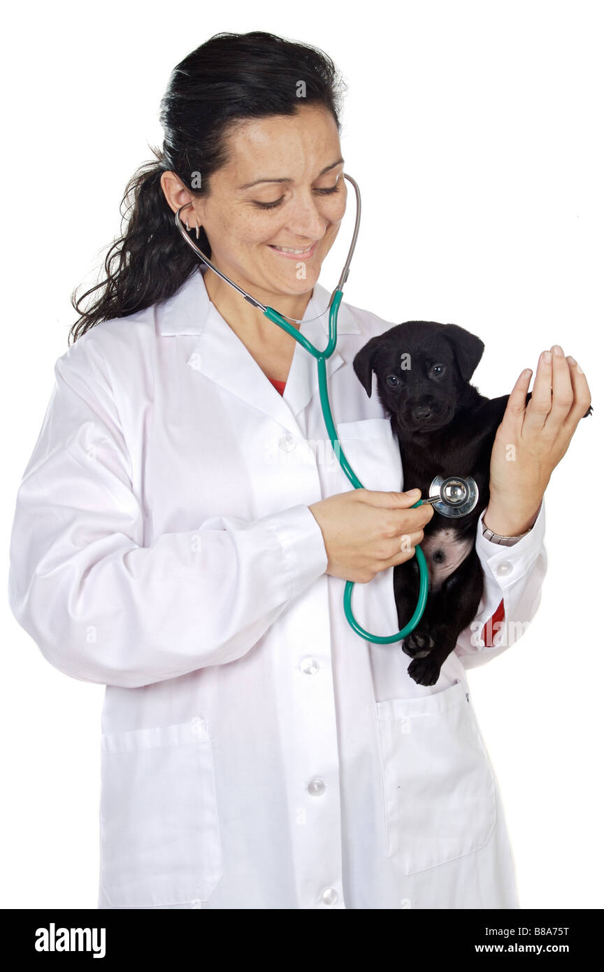 Attractive lady veterinarian over a white background Stock Photo - Alamy