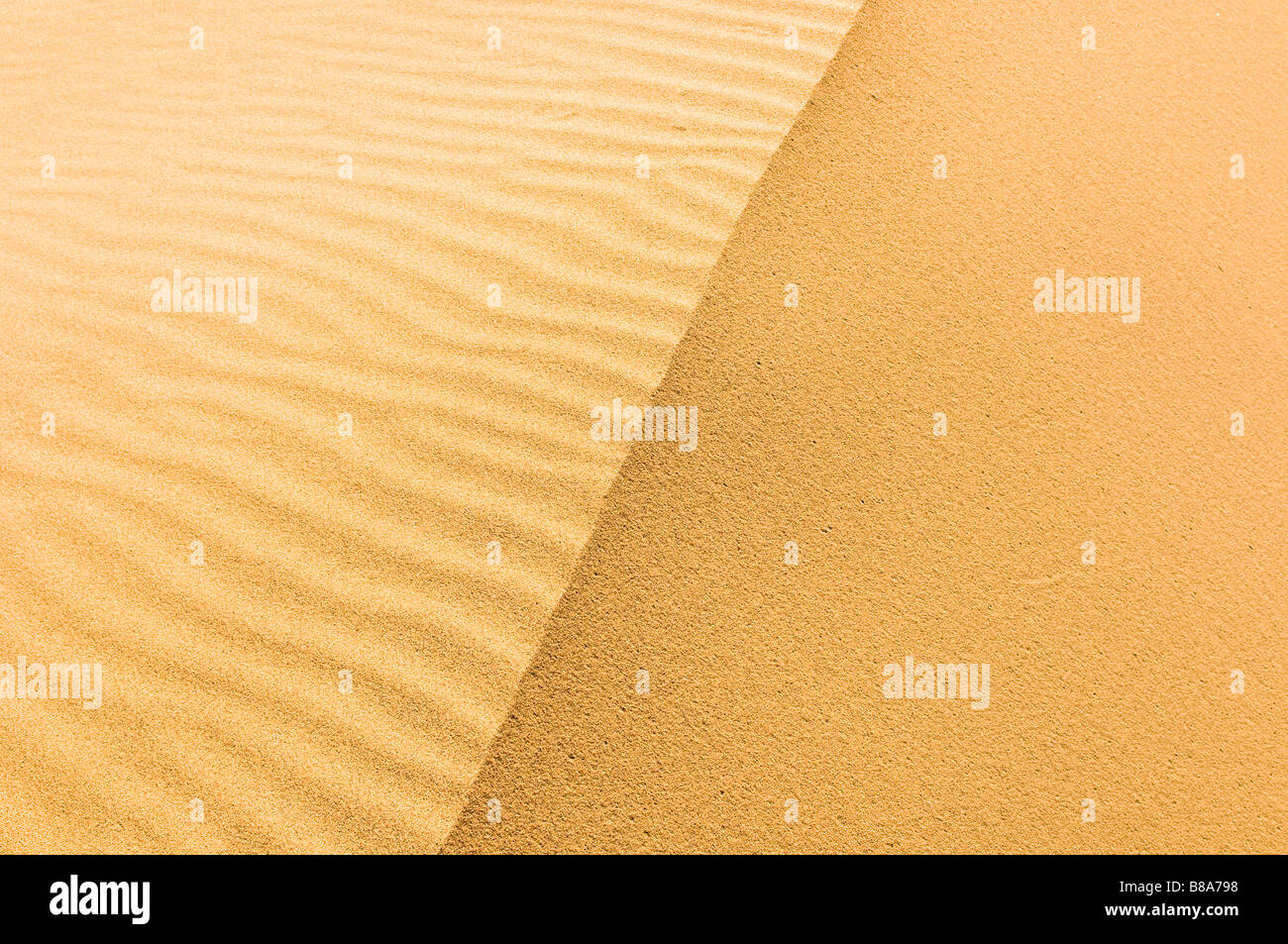 highly detailed texture of sand dunes Stock Photo - Alamy