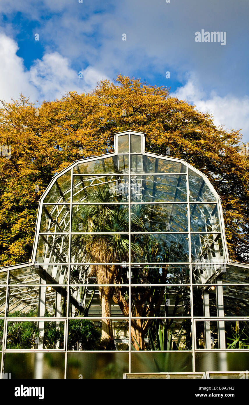 Oxford botanical glass house hi-res stock photography and images - Alamy