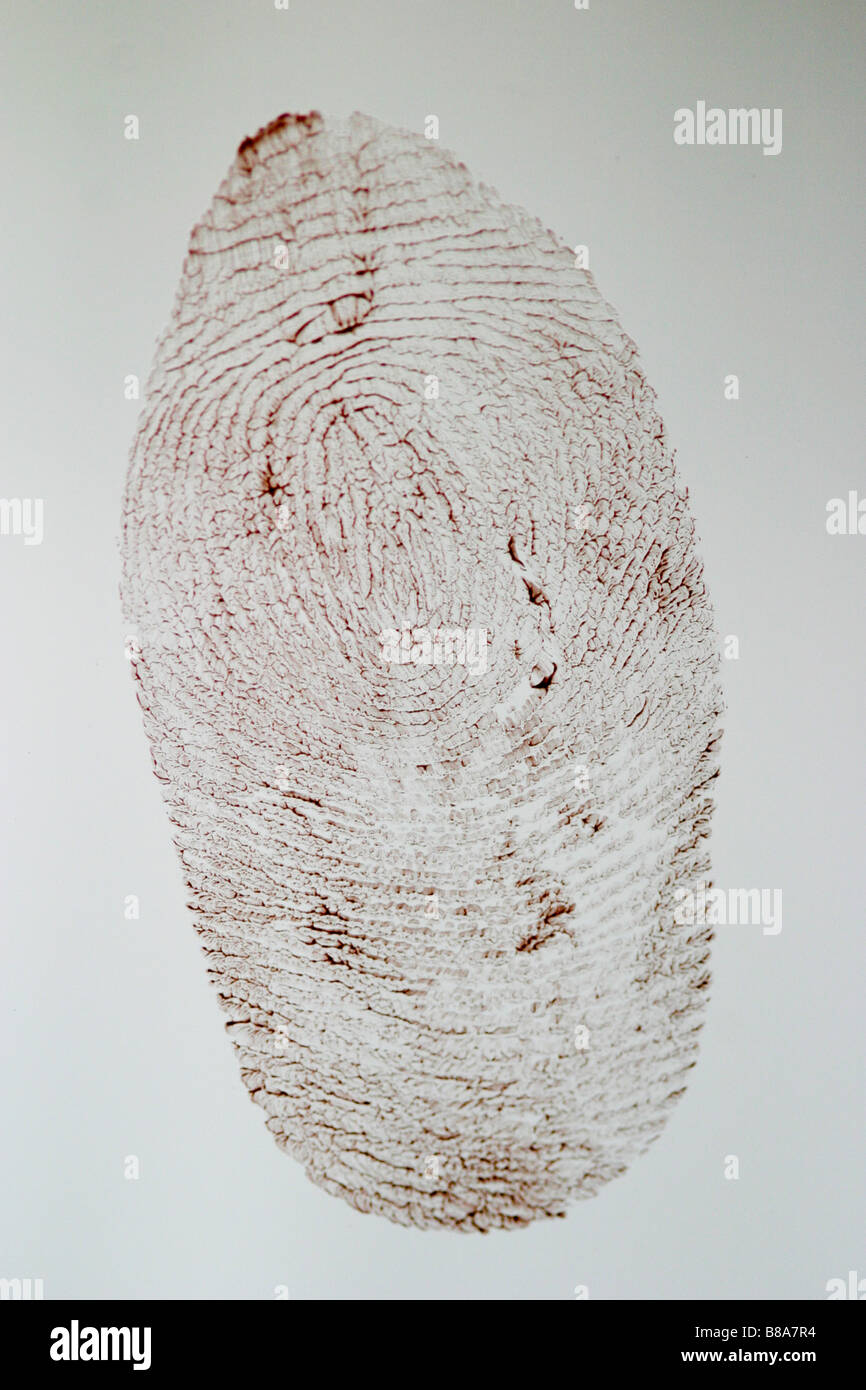 Burglary marks hi-res stock photography and images - Alamy