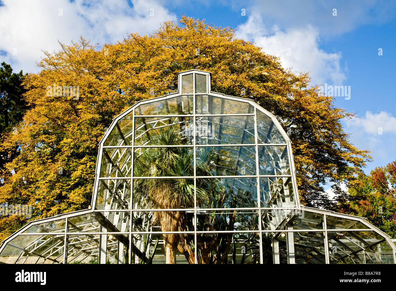 Oxford botanical glass house hi-res stock photography and images - Alamy
