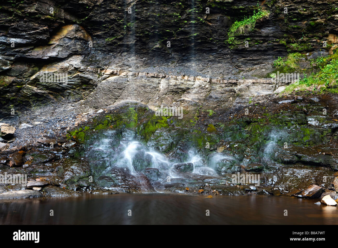 Mill Gill Force Waterfall Near Askrigg Lichen And Algae On The Rockface ...