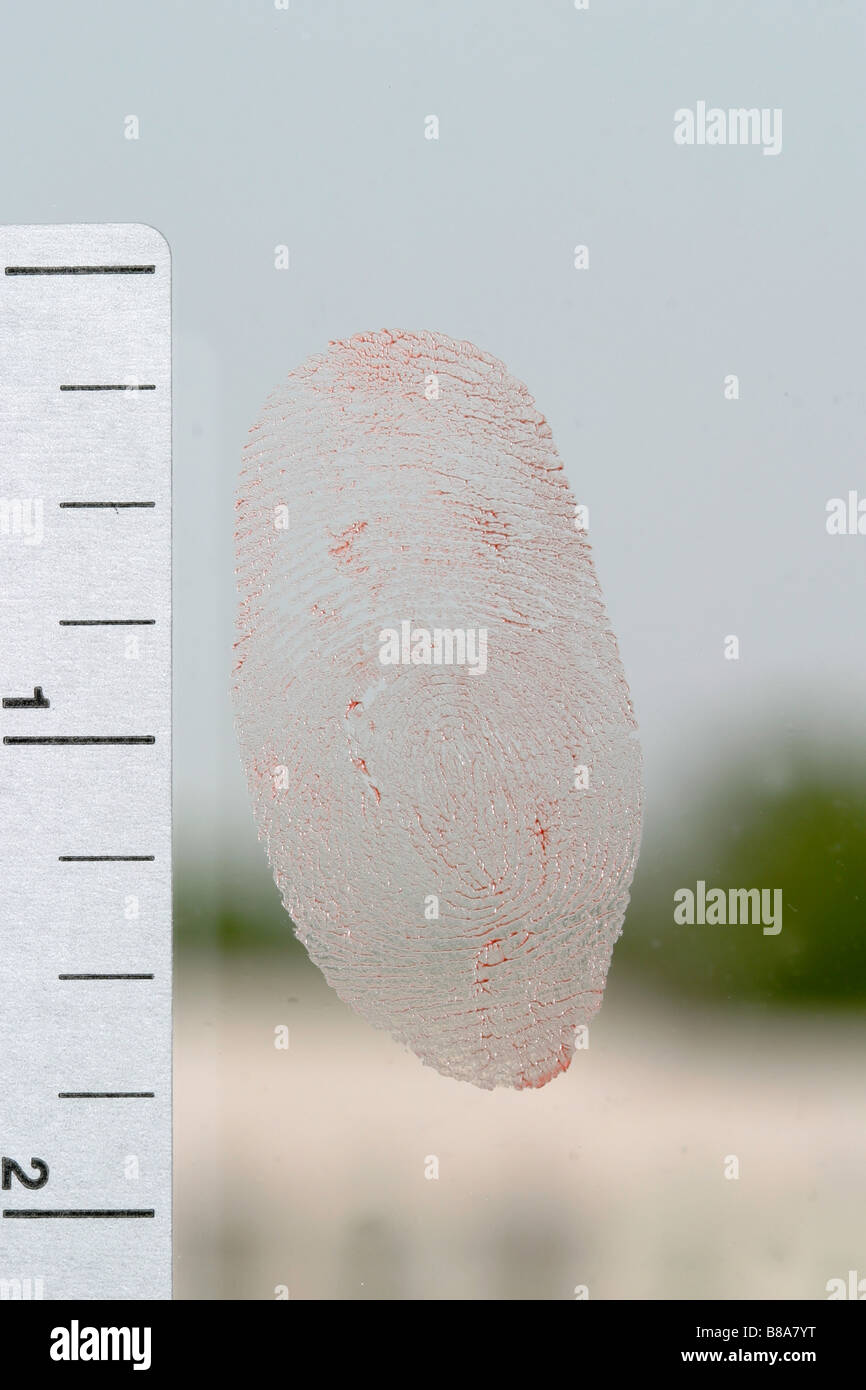 Fingerprint powder hi-res stock photography and images - Alamy